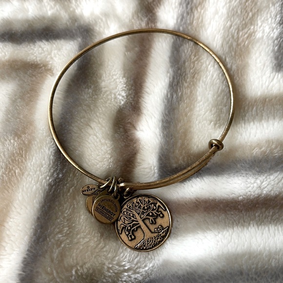 Alex and Ani | Jewelry | Alex And Ani Tree Of Life Bracelet Adjustable ...